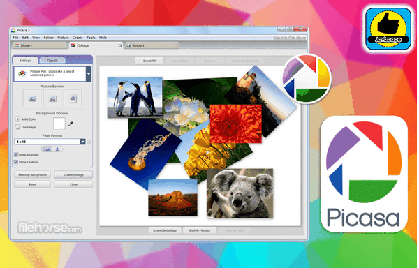 Como Descargar Fotos De Picasa