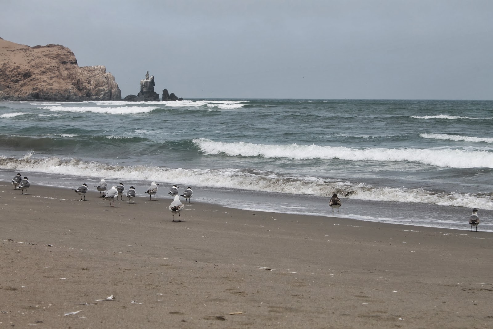 PUNTA HERMOSA Y CERRO AZUL: Surftrip al sur de Lima