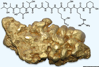 Delftia acidovorans bacteria de oro - D3T0D0UNP0C0