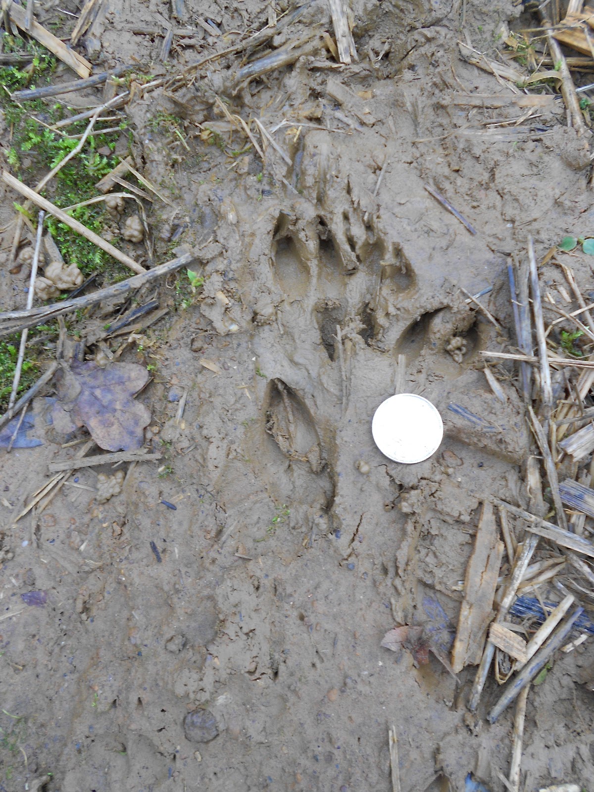 Tony's Blog: If Winter comes can Spring be far behind?