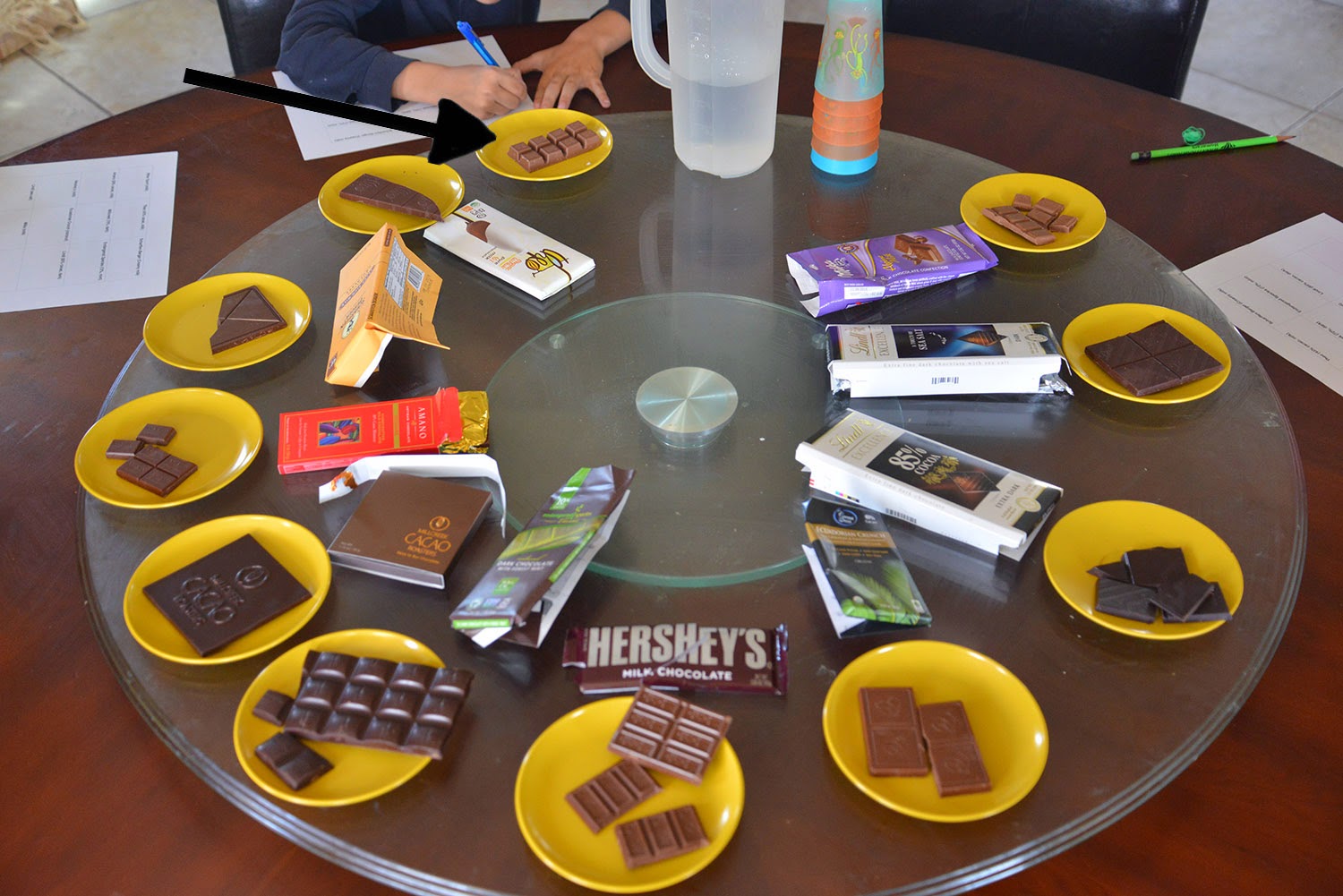 A school of fish: Chocolate Tasting Activity