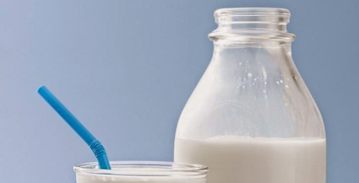 10 Makanan Unik Paling Mahal Di Jepang | Pocong Funky