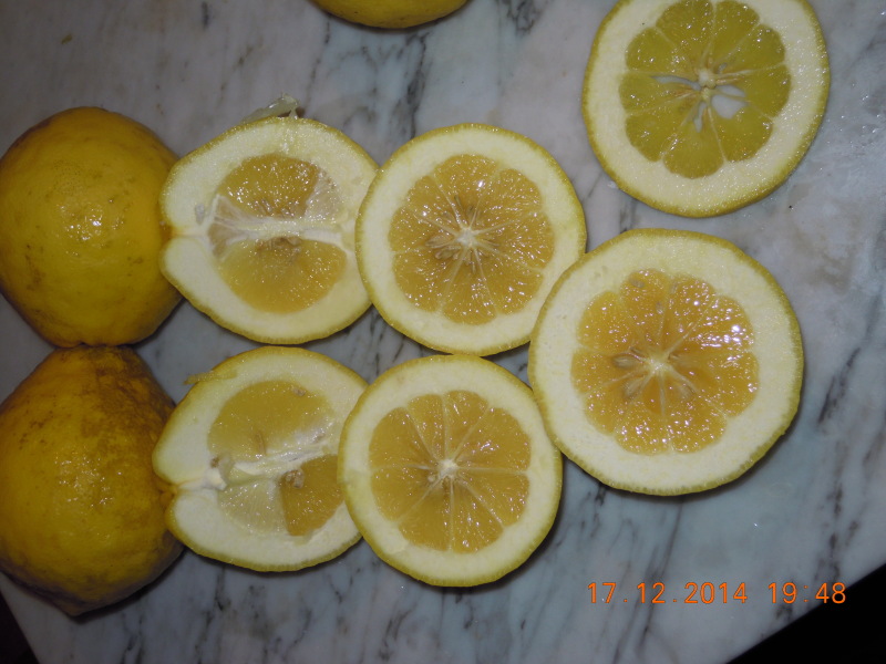 Fruits Seeker: Agrumi rustici. Cold - Hardy Citrus Esperienze in pieno ...