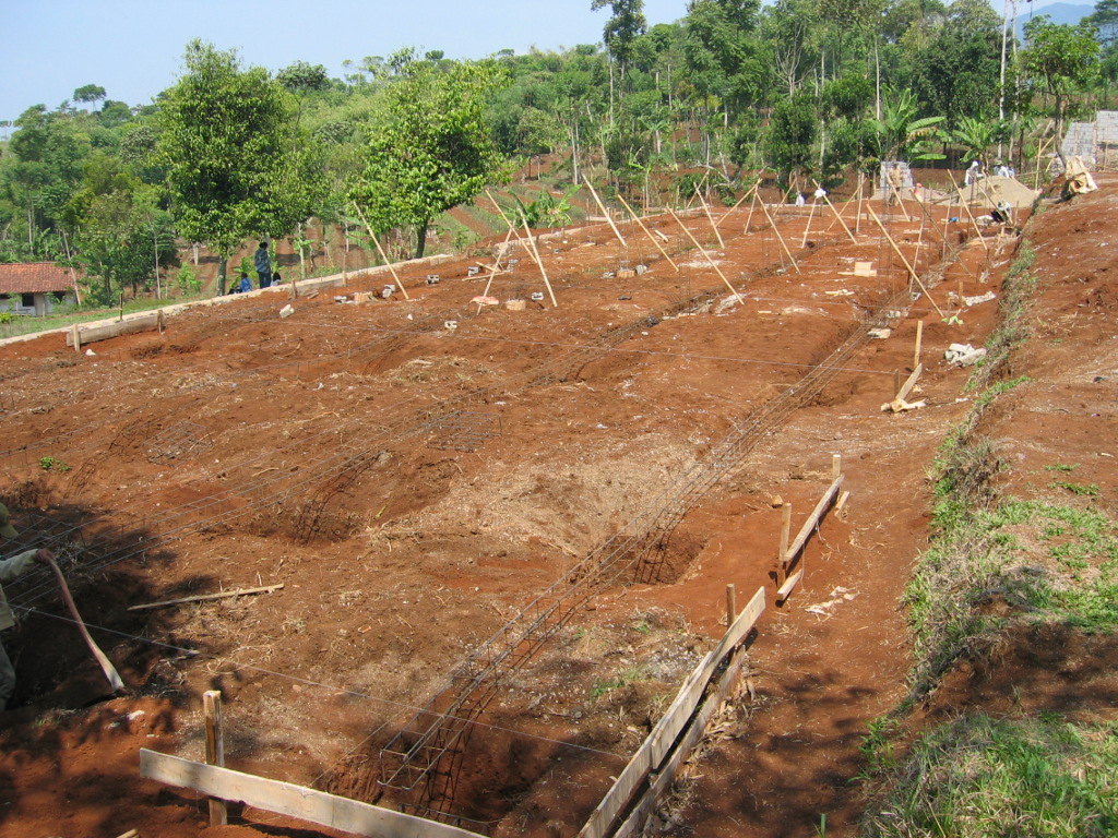 PITA LESTARI : Layout peternakan & pembangunan kandang