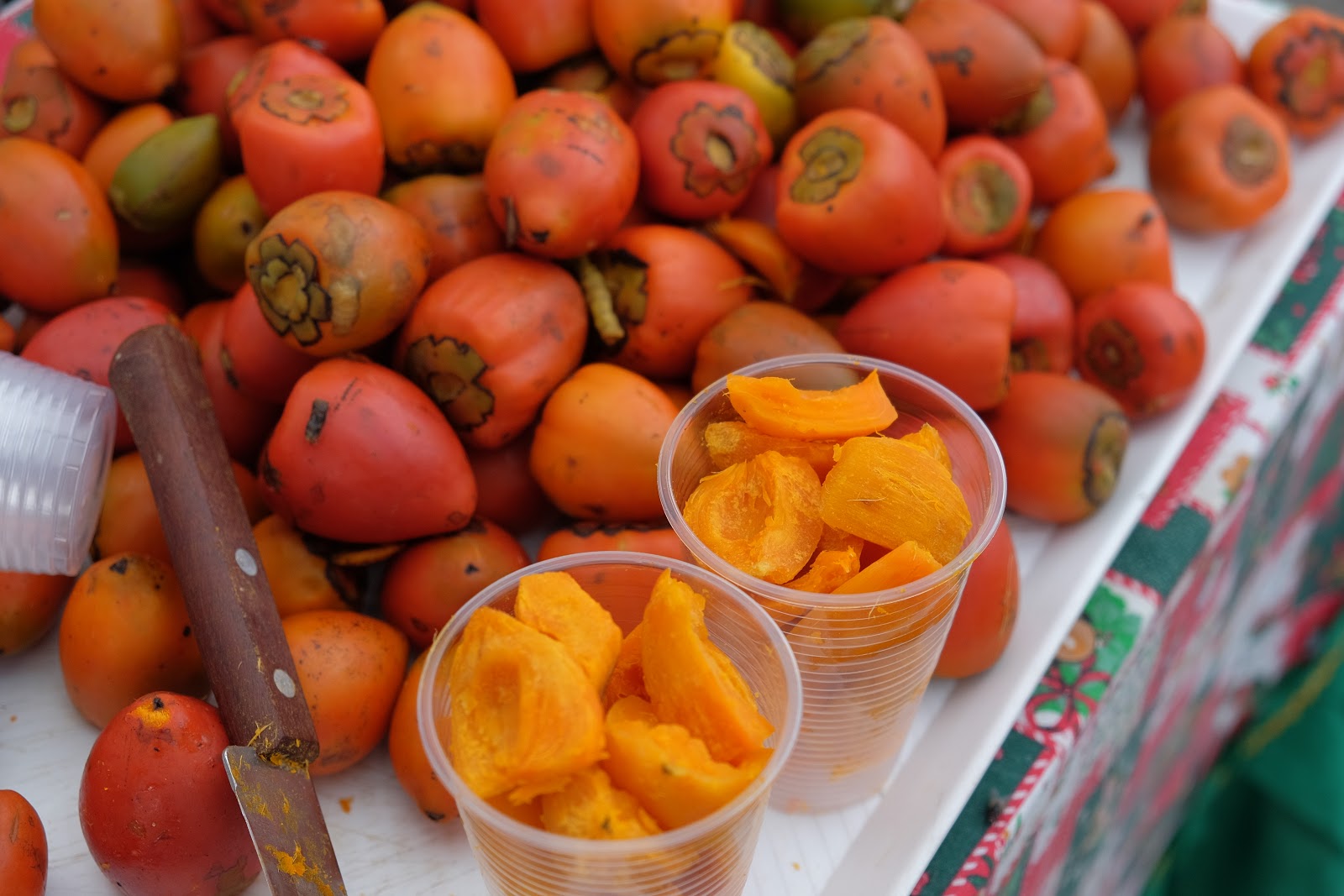 El Taraumara. Entre bicis, montañas y una finca