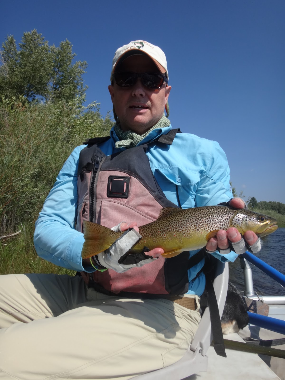 Fish Spotter: Nice Fish