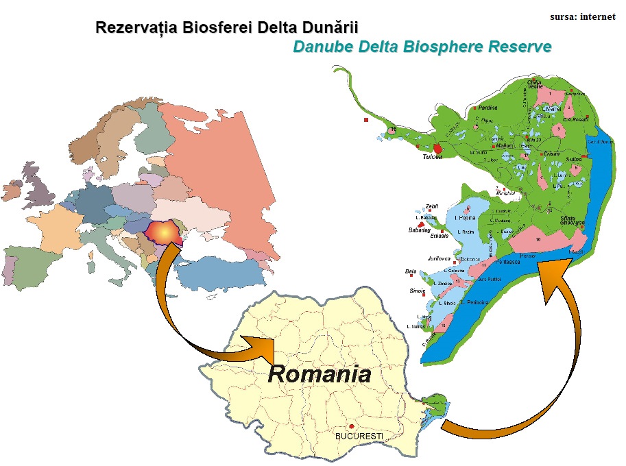 Ascensiuni şi Expediţii Alpine: Delta Dunarii - pescuitul sportiv la ...