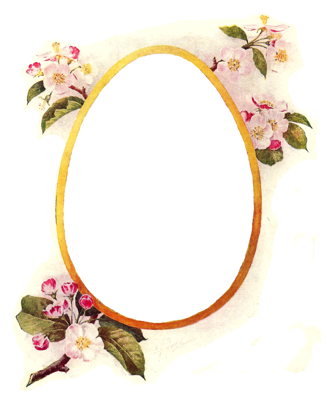 The Graphics Monarch: Printable Flower Frame Download Dogwood Botanical Art