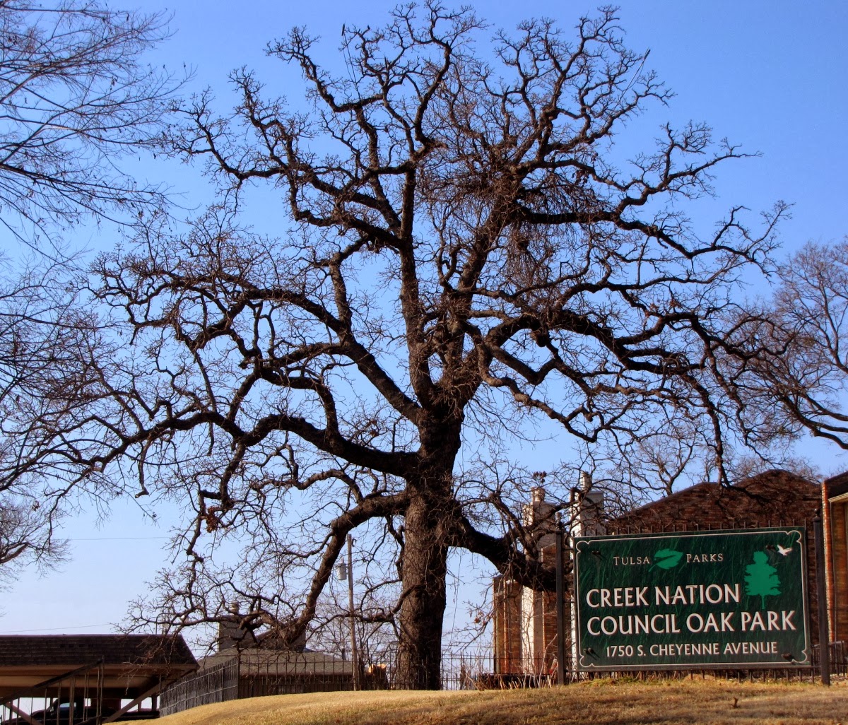 Tulsa Gentleman: Skywatch Friday - Creek Council Oak