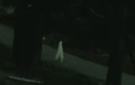 Has 'The Nightcrawler' Returned?