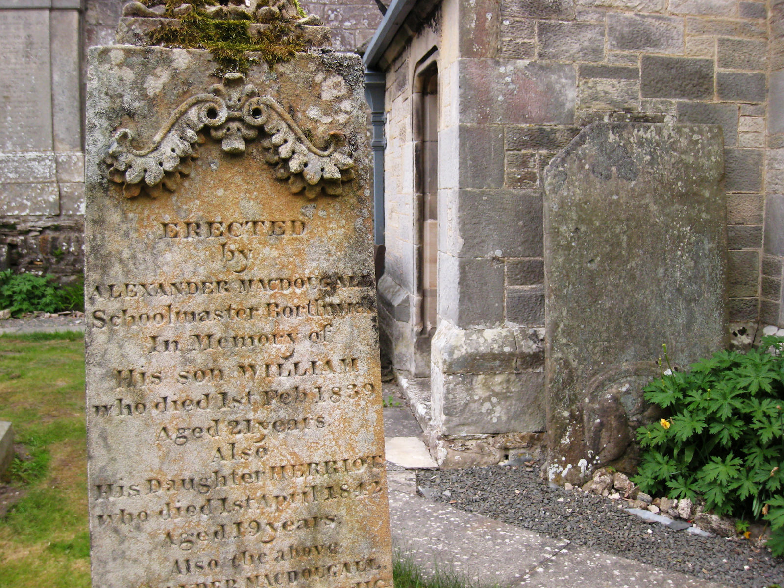 Daily Snapshot Archives - The Road Junkies