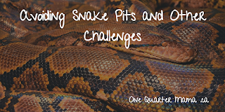 One Quarter Mama: Avoiding Snake Pits and Other Scary Things