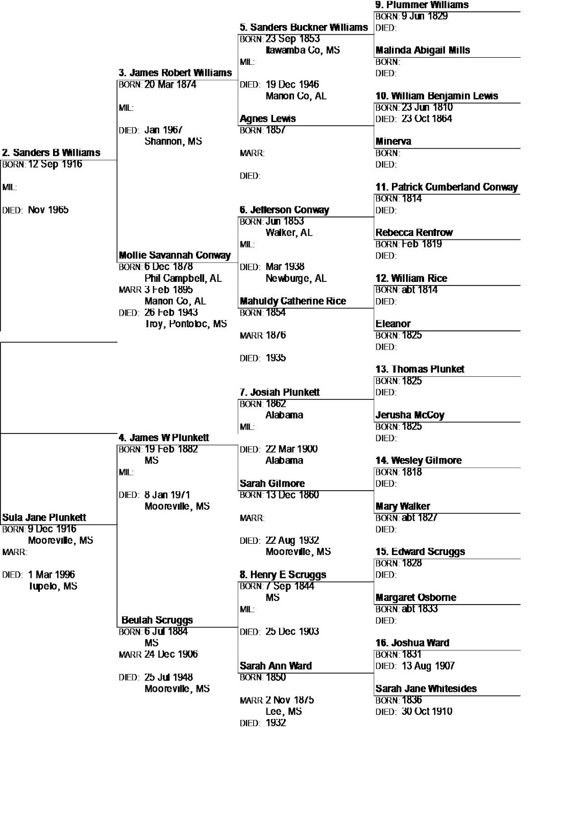 Climbing My Family Tree: My Family Trees