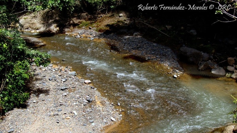 Llano Hermoso de Mercedes Sur de Puriscal | Explore Costa Rica
