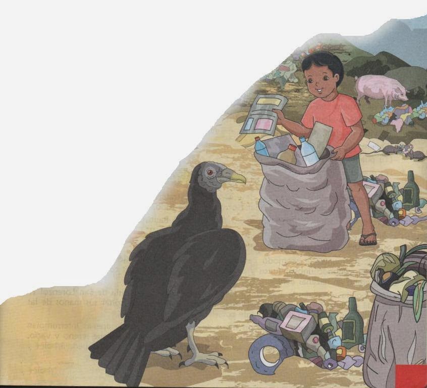 Naylamp Abracitos: Cuento: El Señor Gallinazo Vuelve a Lima