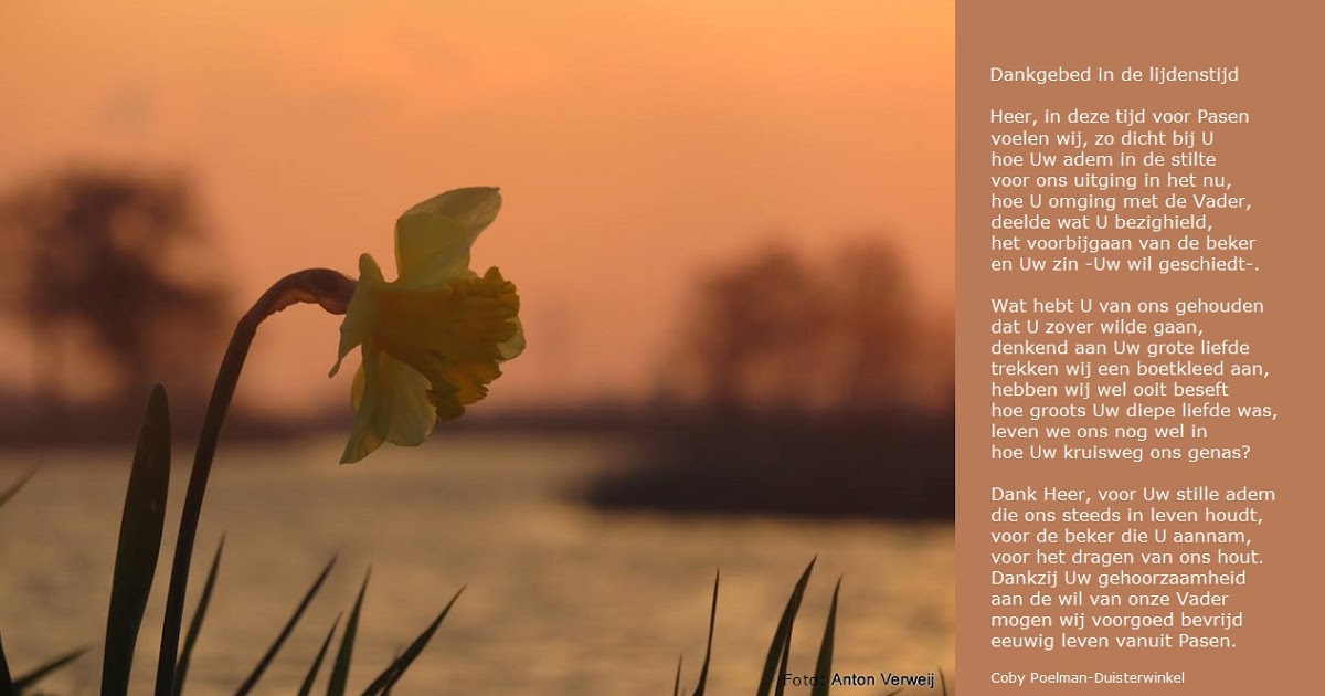 Gedichten bij de christelijke feestdagen: Dankgebed in de lijdenstijd