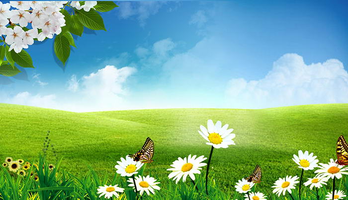 PSD Natural Template Set 15 - 01 | Download All You Want