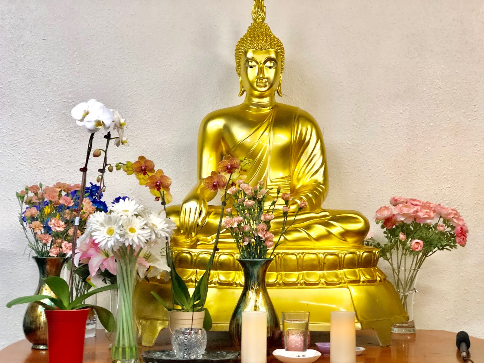 Introductory Pali Class & Meditation - Dhamma USA