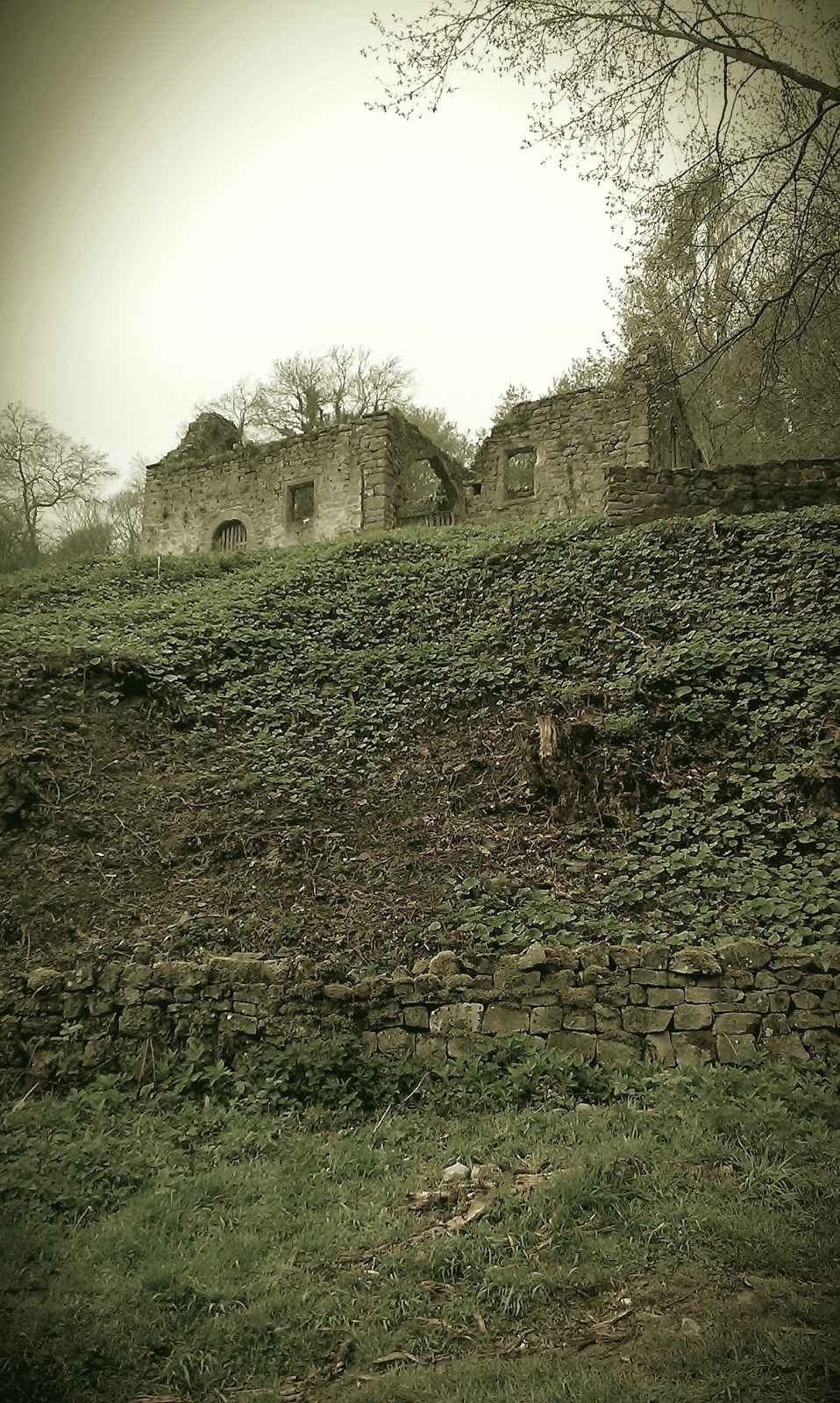 Landscapism: The last field in England