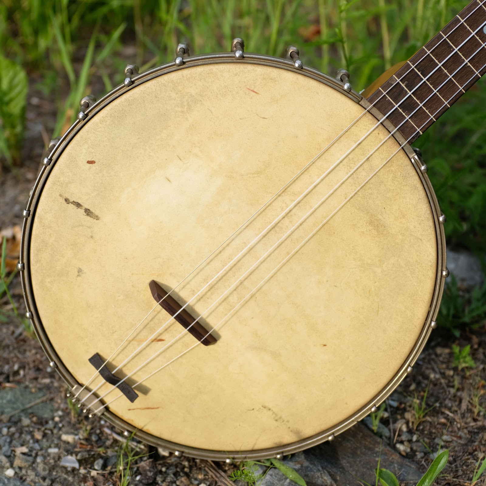 1920s Lyon & Healy American Conservatory Fretless (Modded) Tenor Banjo
