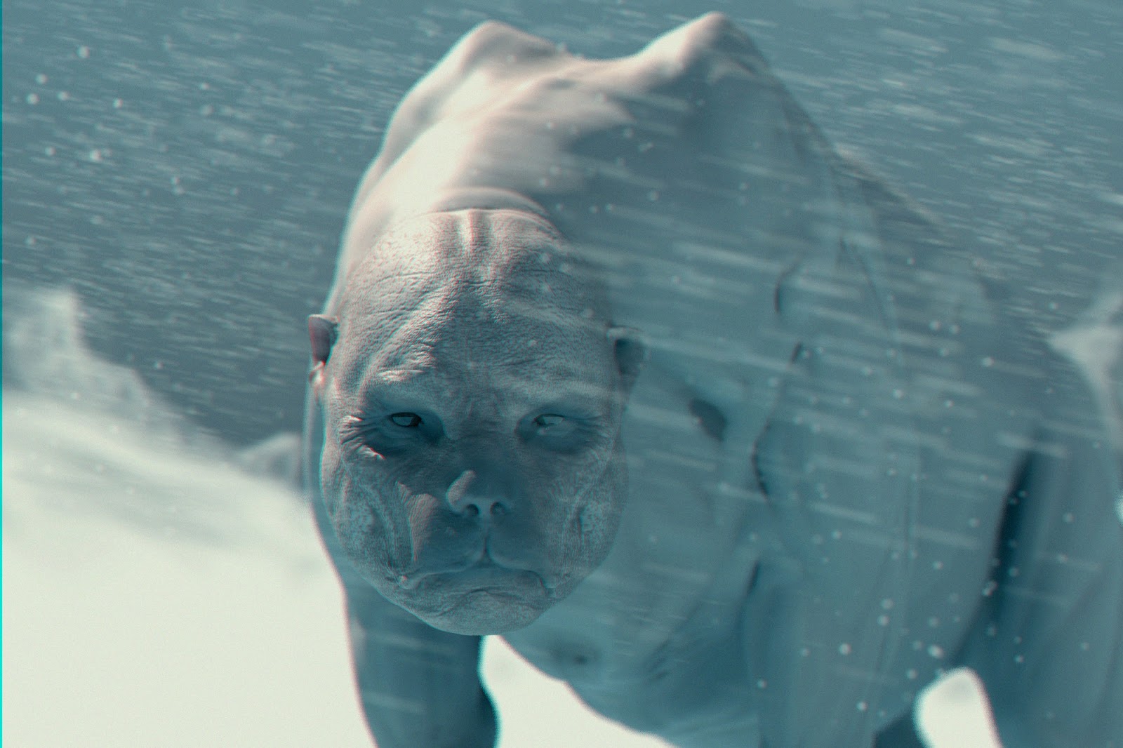 Documentalium: The Terror, los hechos reales de la serie basada en la ...