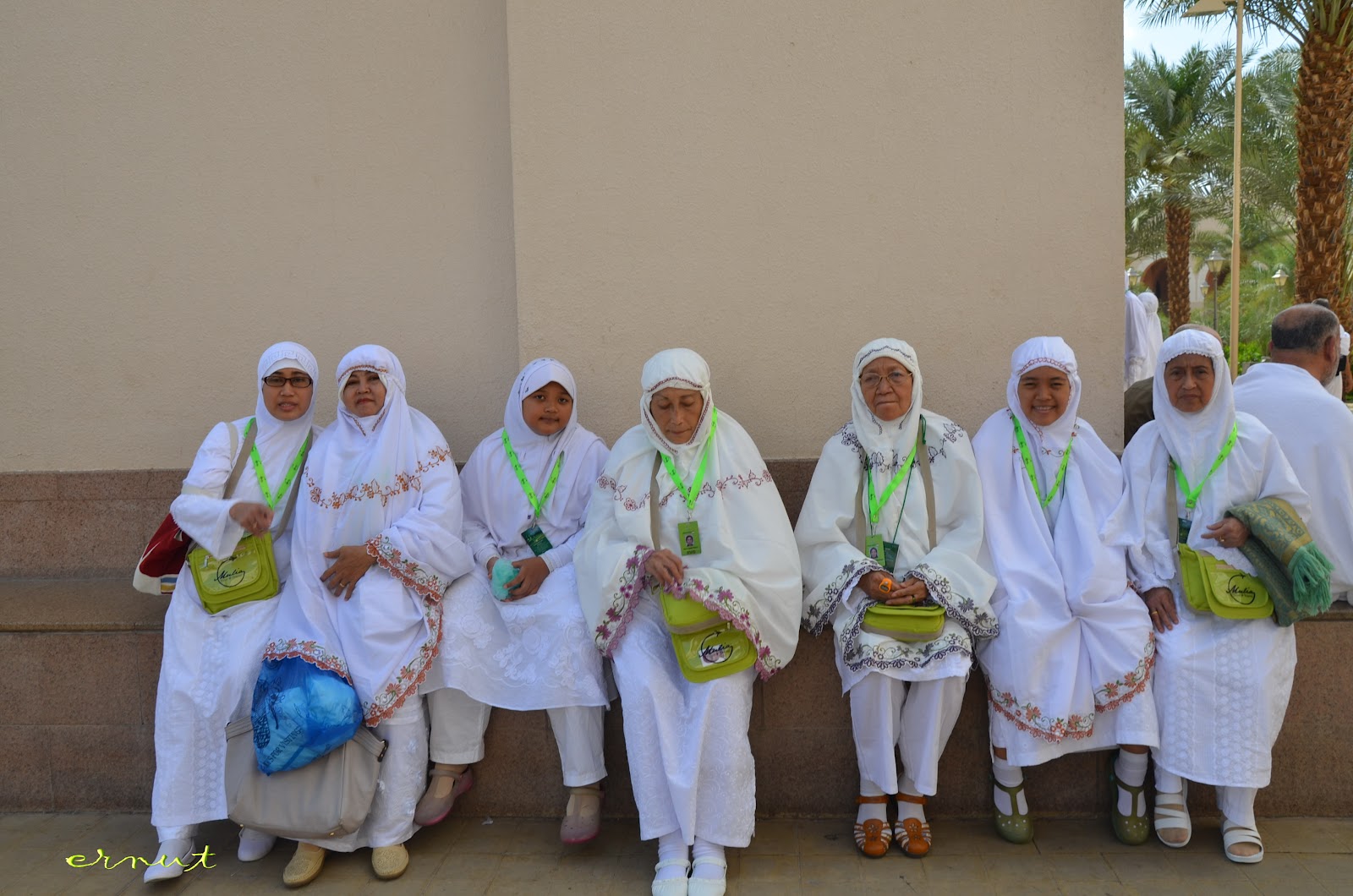 albume ernut: Bir Ali