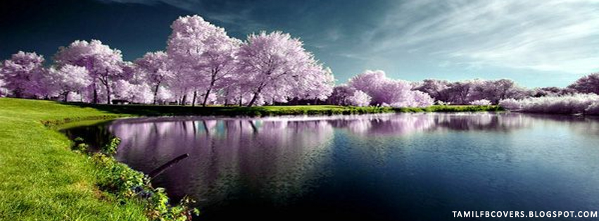 My India FB Covers: Purple Trees and Lake View - Nature FB Cover