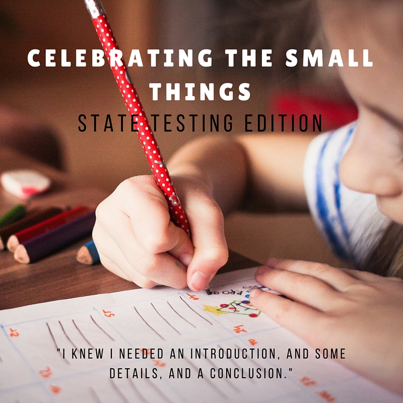 Celebrating The Small Things -- Standardized Testing Edition | Elements ...