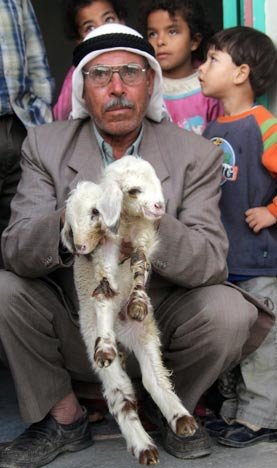 Stunning Two-headed animals and other bizarre creatures ~ Great ...