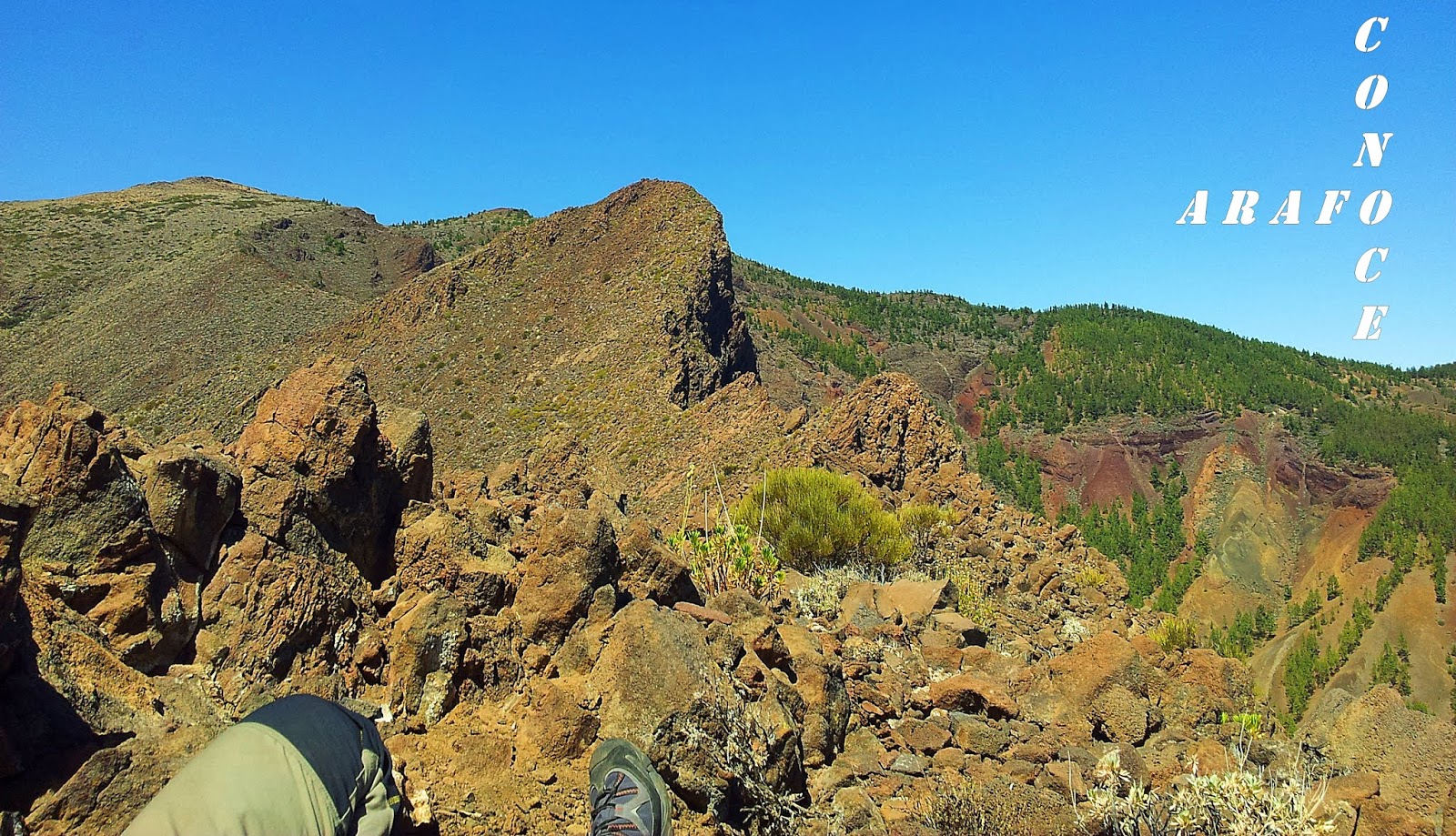 CONOCE ARAFO: SEÑAS DE IDENTIDAD DE ARAFO