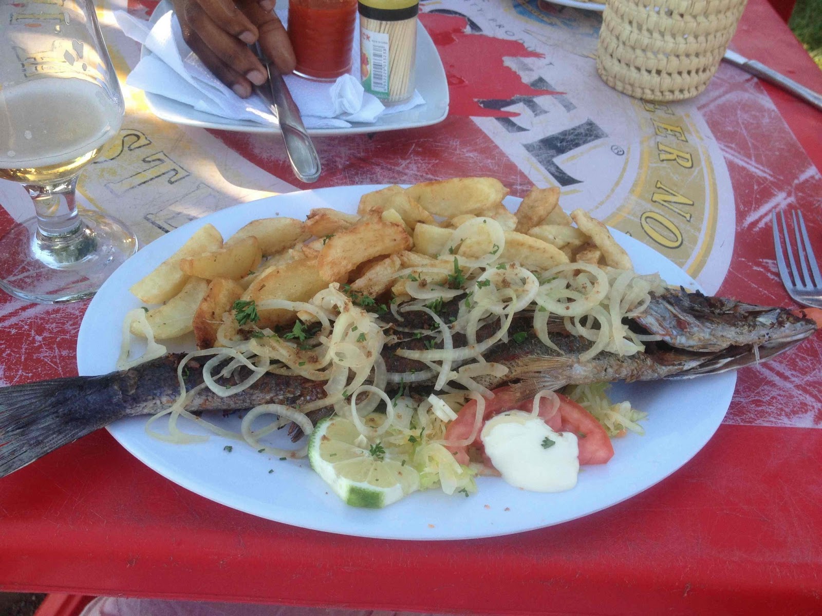 Quid Novi Ex Africa?