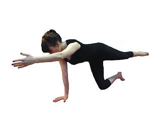 Exercise of the Day: Day 253- Quadruped: Ipsilateral