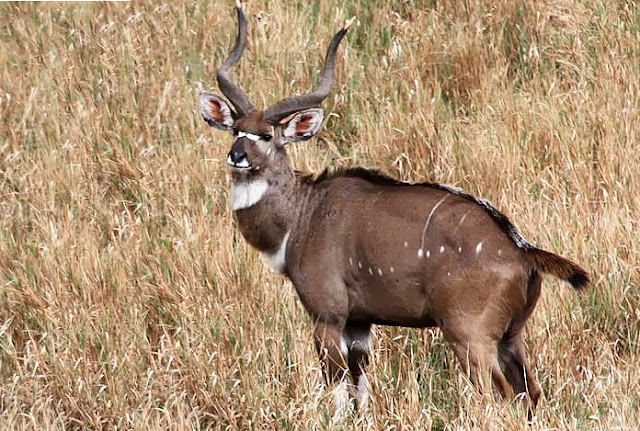 Natureza, Perfeição sem tamanho...
