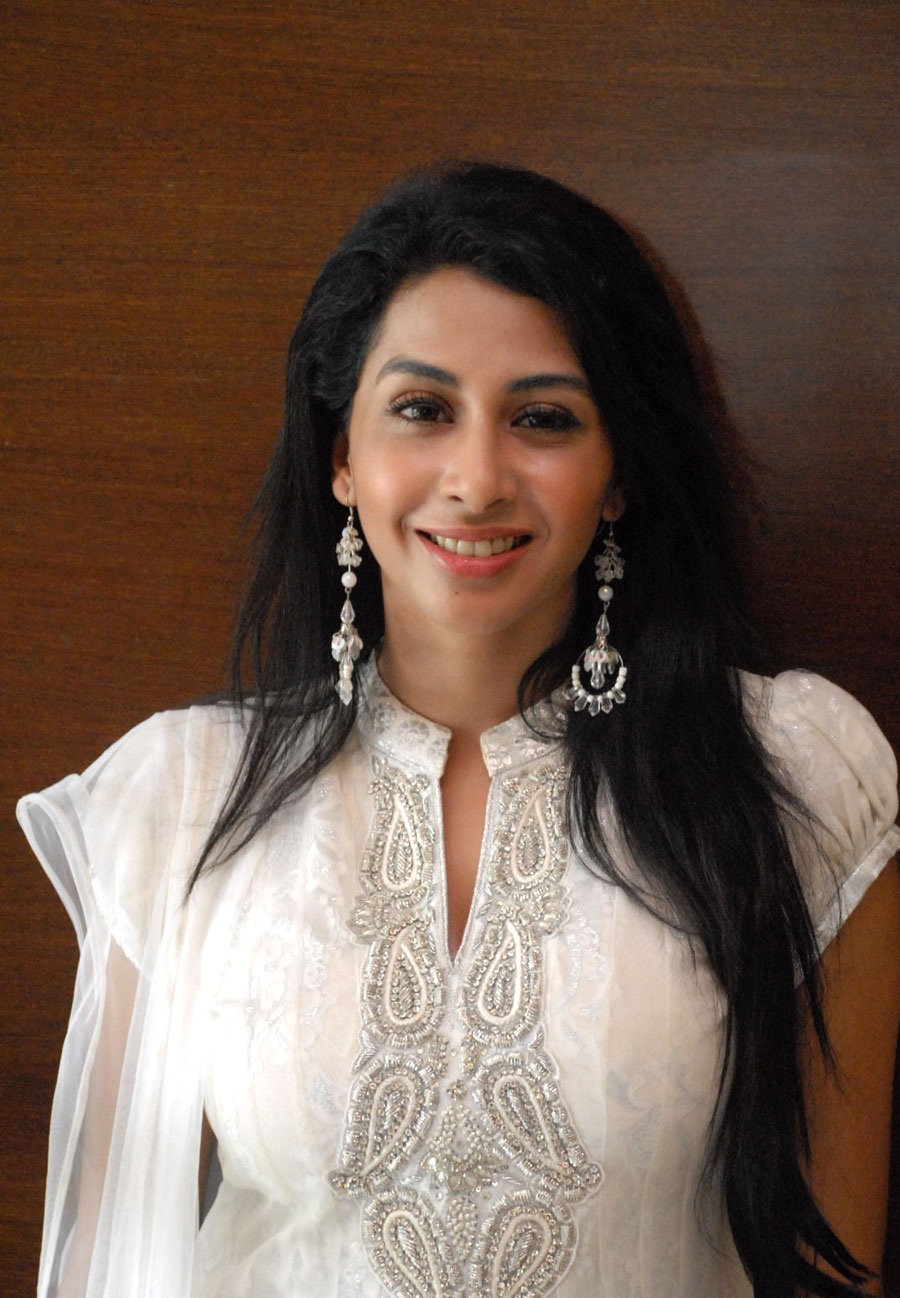 Gayatri Iyer Latest Photo Shoot At Six Audio Launch