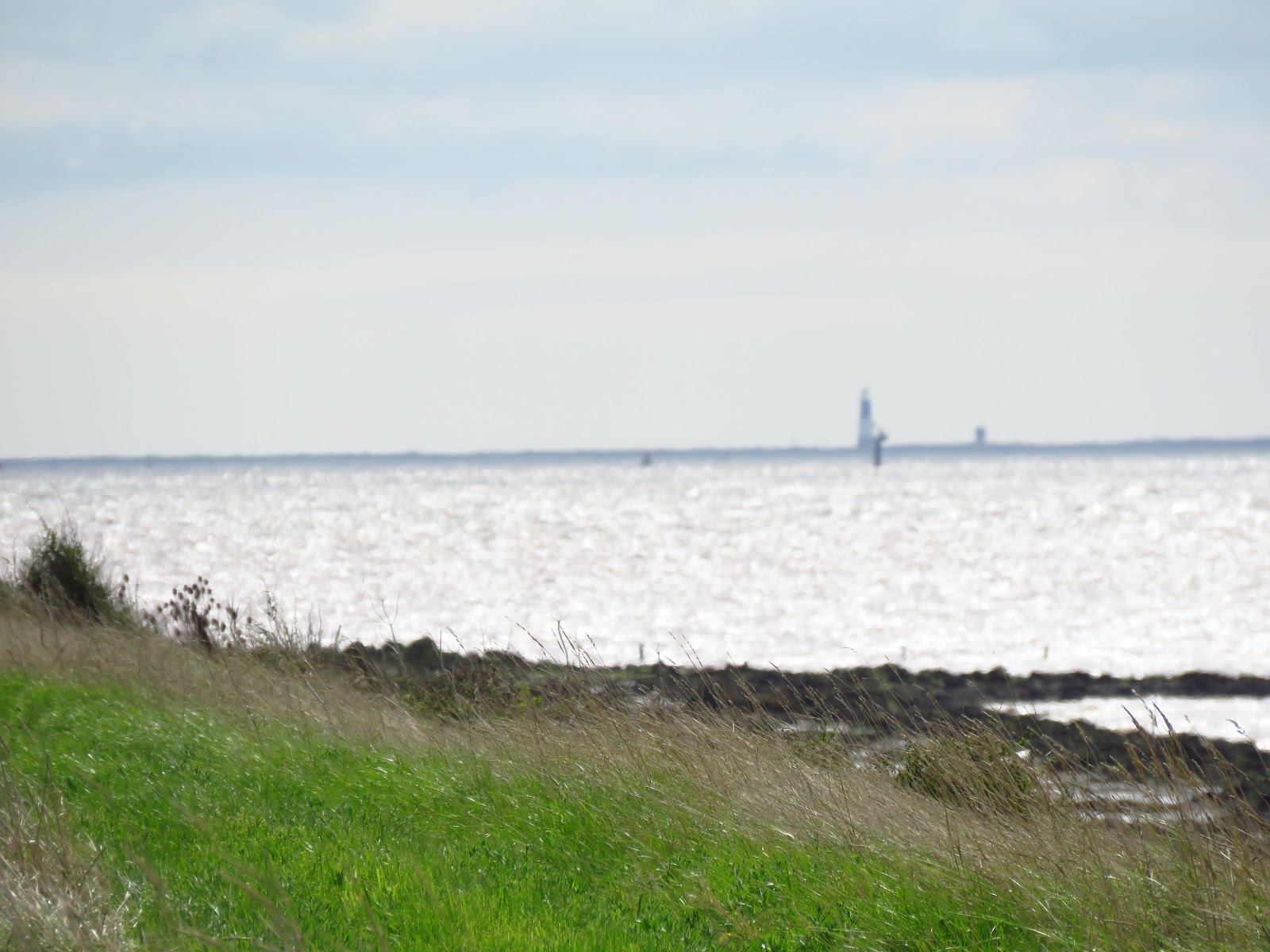 Wild at Hull: Walking the Humber. Stage 11. Sunk Island
