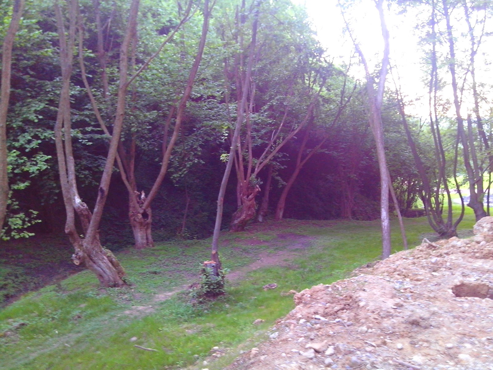 PYRAMIDS: Park prirode u Visokom