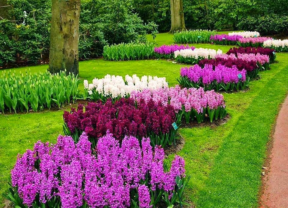 Keindahan Taman Bunga ... - Relaks Minda