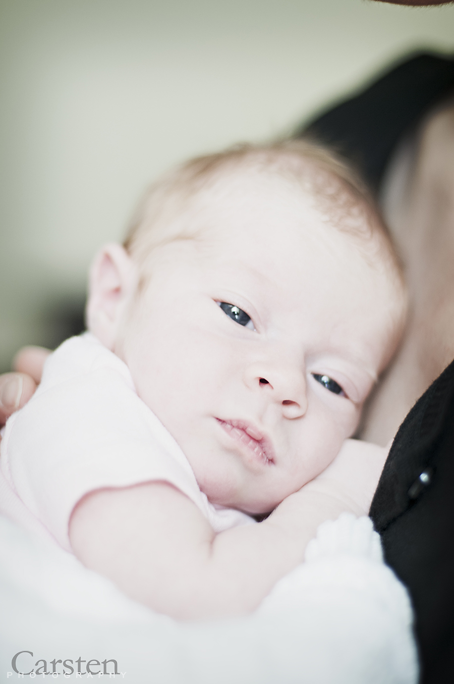 Carsten Photography: A Bundle of Cuteness