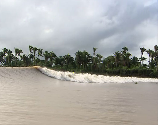 KARUÊ DO SOL: A Pororoca