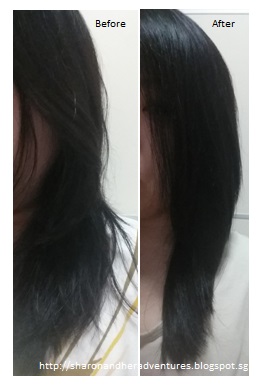 Sharon and her adventures...: My First Mucota Dyna Argan Oil Hair ...