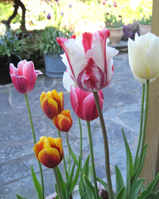 Flutterby Patch: May 2011