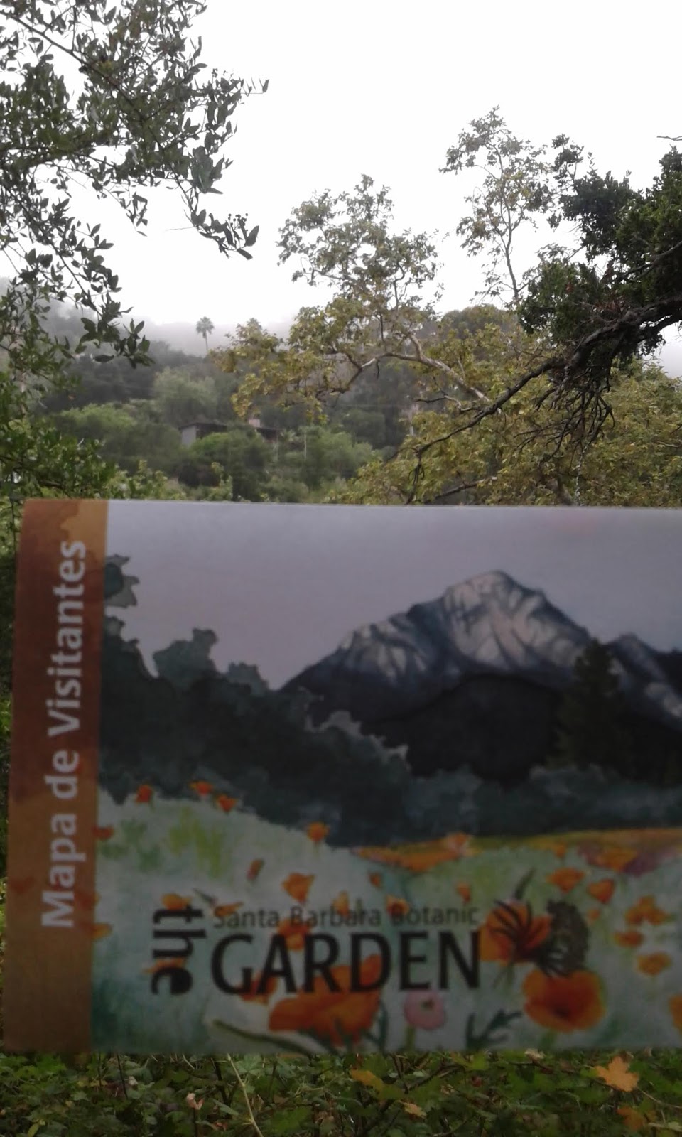 Turismo Científico: Jardin Botánico de Santa Bárbara