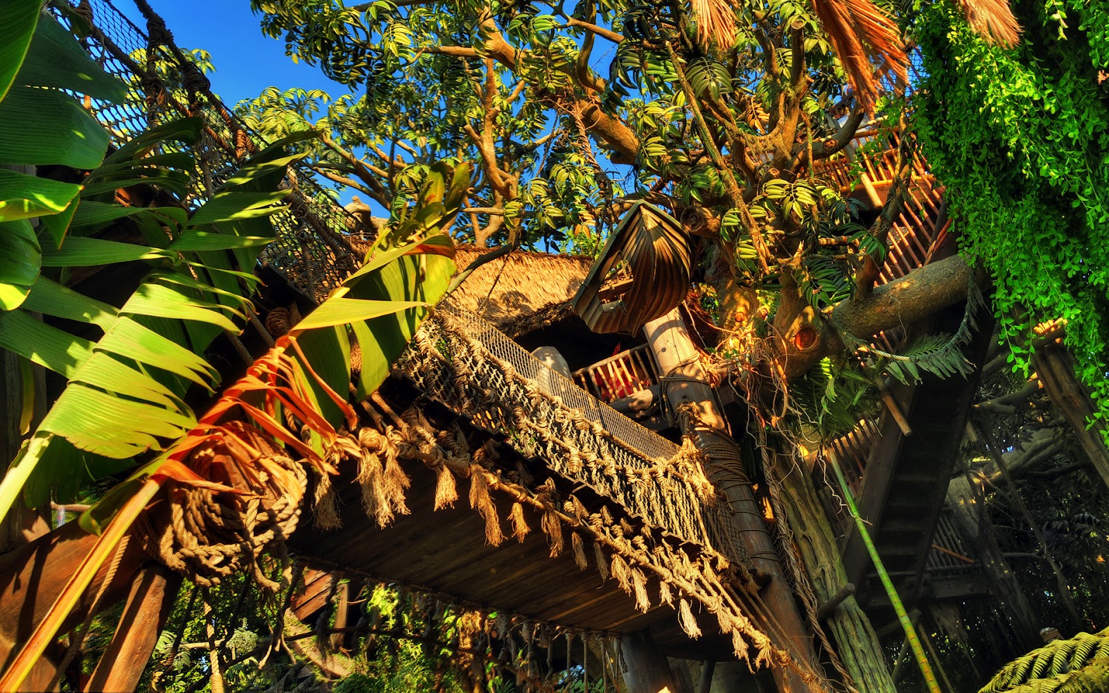 Sunset at the Treehouse