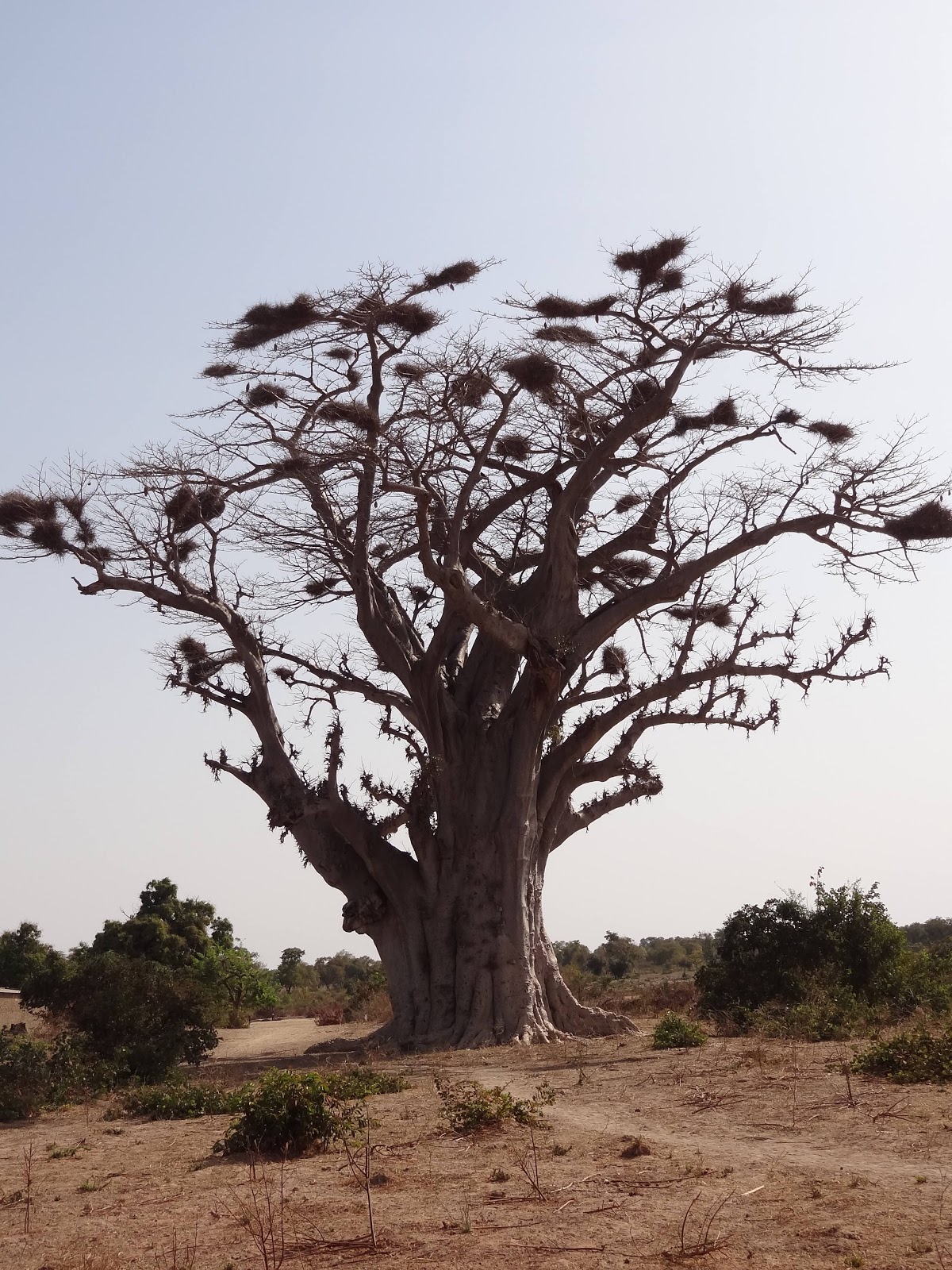 Footprints in Mali: Baramba (rural clinic)