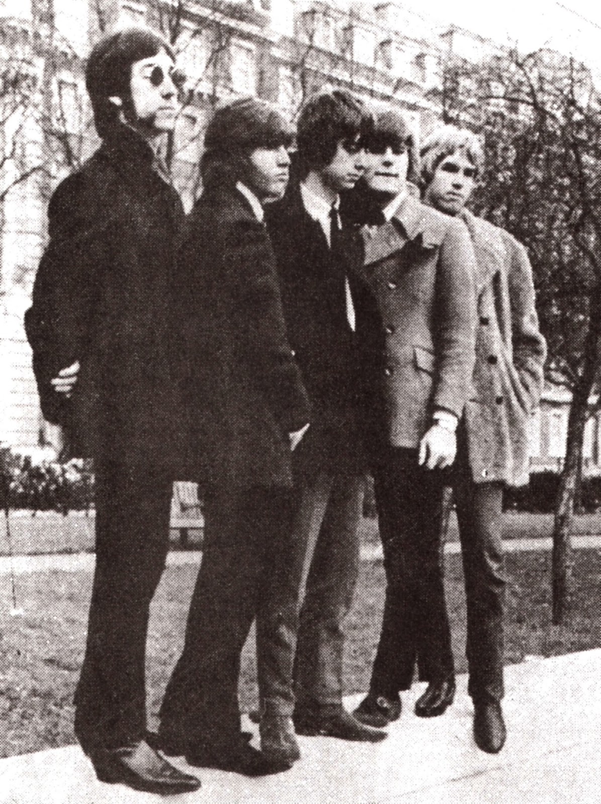 Forestdweller: The Misunderstood