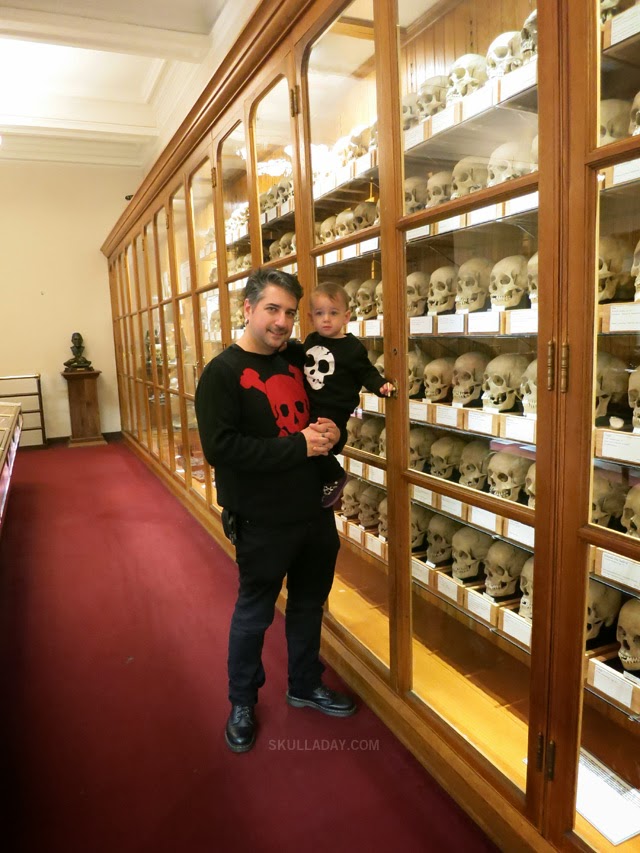 Skull-A-Day at The Mütter Museum