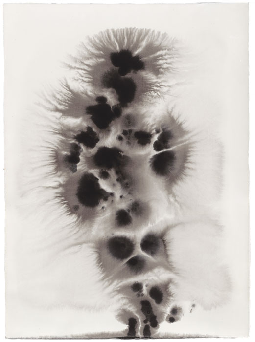 Art Blog: Amorphous Shapes