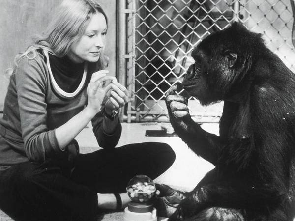 Naturaleza soy: Washoe. La chimpancé que se comunica con humanos