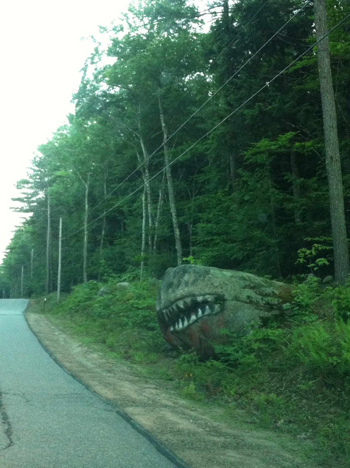 a life more awesome: Caverly Mountain