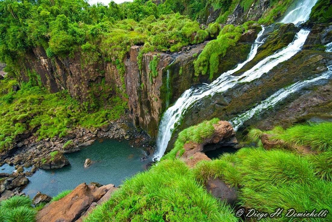 Reserva de la biosfera: ARGENTINA : LAS YUNGAS ARGENTINAS
